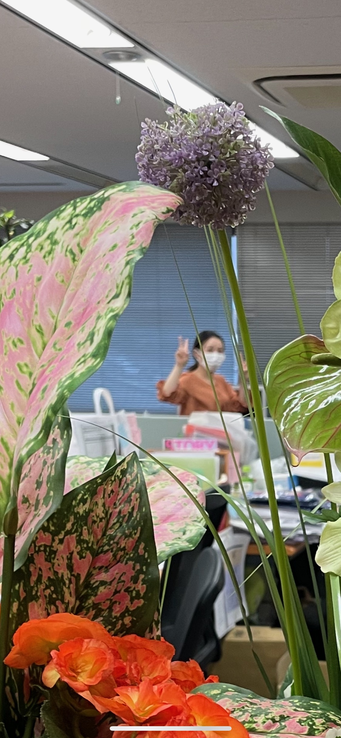 株式会社ジャンプコーポレーション